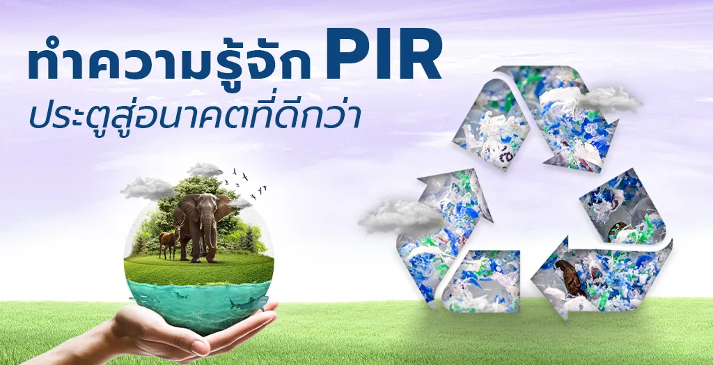 PIR คืออะไร ผลิตภัณฑ์รีไซเคิลที่ผลิตจากวัสดุ PIR ที่น่าสนใจ - Bags and ...